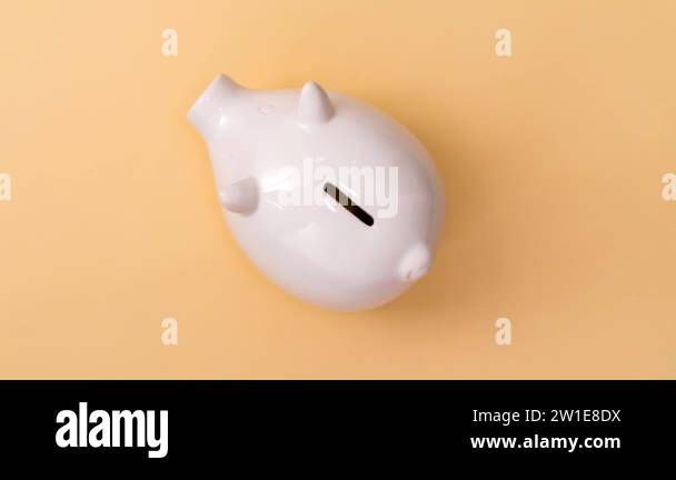 Beige pig Stock Videos & Footage - HD and 4K Video Clips - Alamy