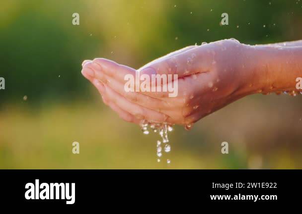 Save water hands concept Stock Videos & Footage - HD and 4K Video Clips ...