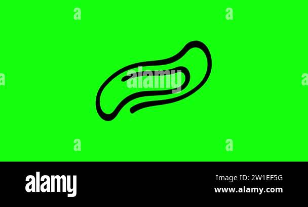 8 animations paperclip attach clipboard icon green screen button chroma ...