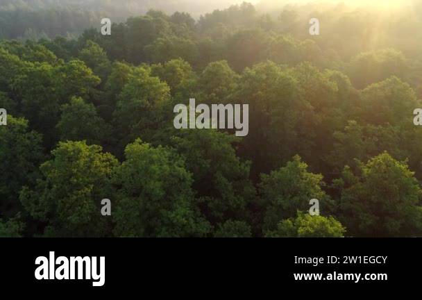 Breathtaking shot sun rising Stock Videos & Footage - HD and 4K Video ...