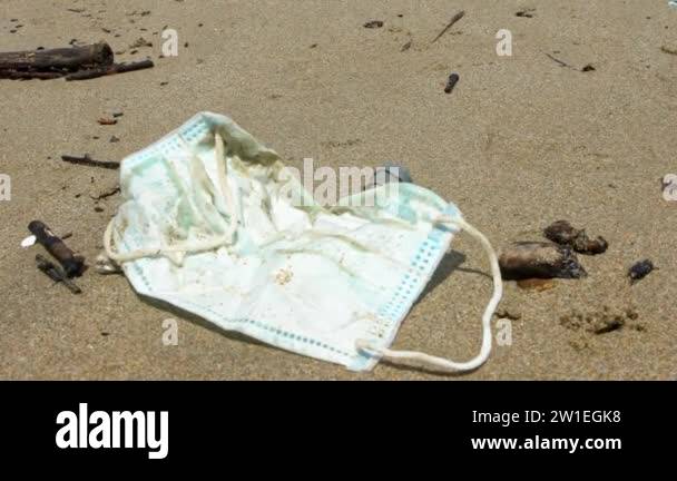 Bad crab Stock Videos & Footage - HD and 4K Video Clips - Alamy