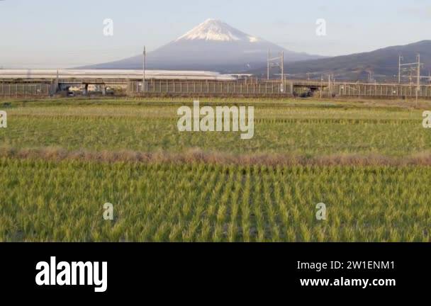 Japan, Honshu, Mount Fuji, Shinkansen Bullet Train passing through ...
