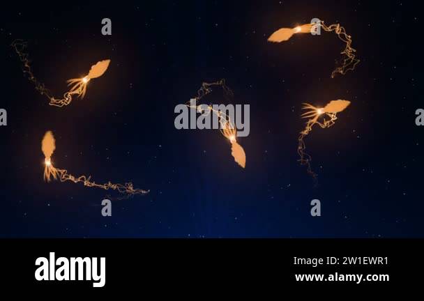 Squid illuminated with color light in the underwater. Fluorescent color ...