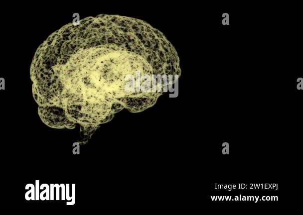 Peace of mind concept. Brain formed of abstract interwoven web rotates ...