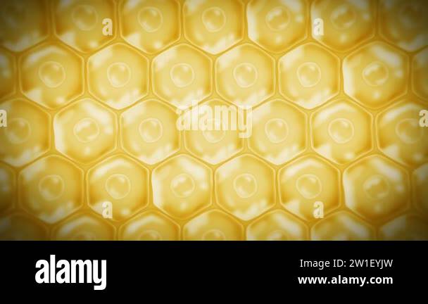 Human skin cells. Each cell with membrane. Cellular therapy. Disease ...