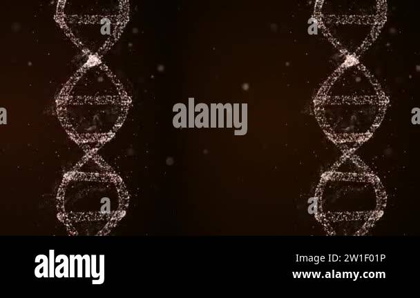 DNA spiral shape molecules turning around during decoding process Stock ...
