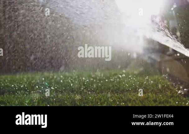 Watering the green grass. SLOW MOTION. Sparkling fresh water spraying ...
