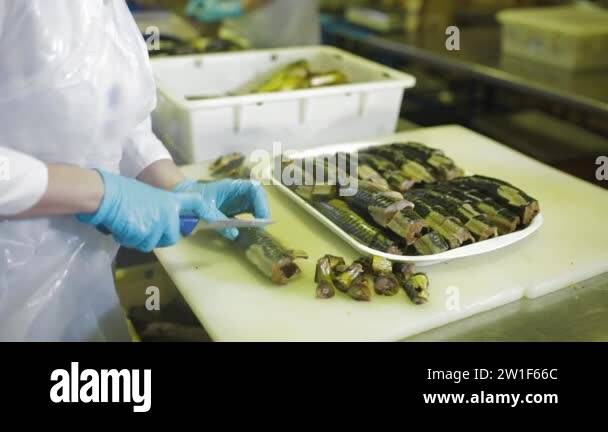 Female worker cutting smoked fish at fish factory. Fish processing ...
