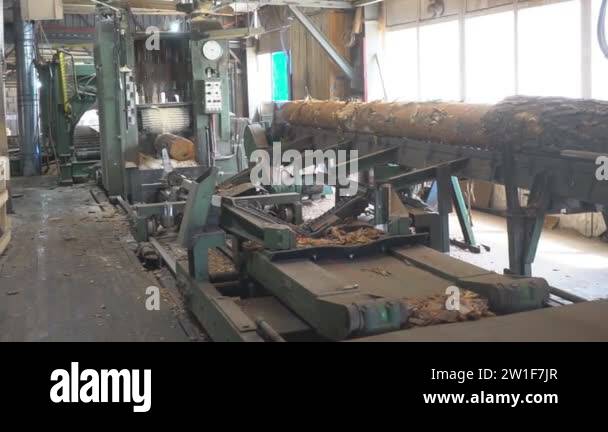 Sawing machine at wood production factory. Timber material processing ...