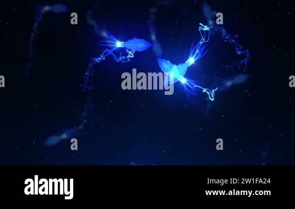 Squid illuminated with color light in the underwater. Fluorescent color ...