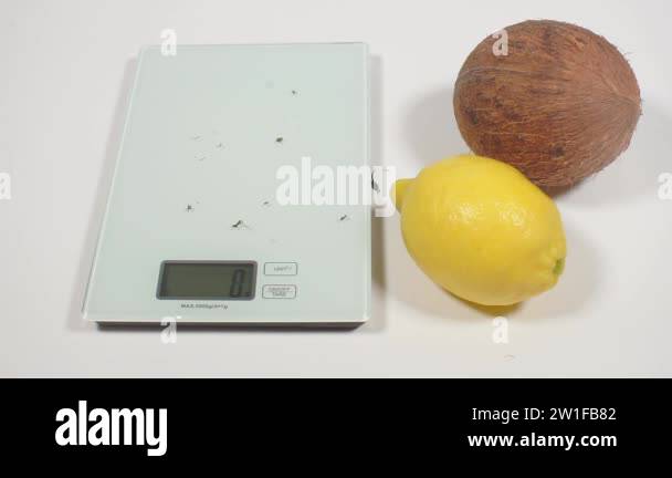 Crime drugs evidence Stock Videos & Footage - HD and 4K Video Clips - Alamy