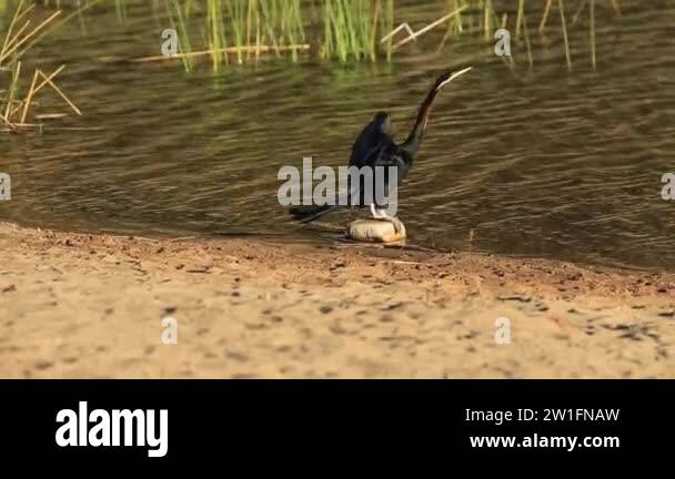 Finke river Stock Videos & Footage - HD and 4K Video Clips - Alamy