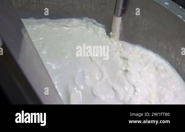 Raw Milk Pouring into Pasteurization Tank. Milk Pasteurization in Dairy ...