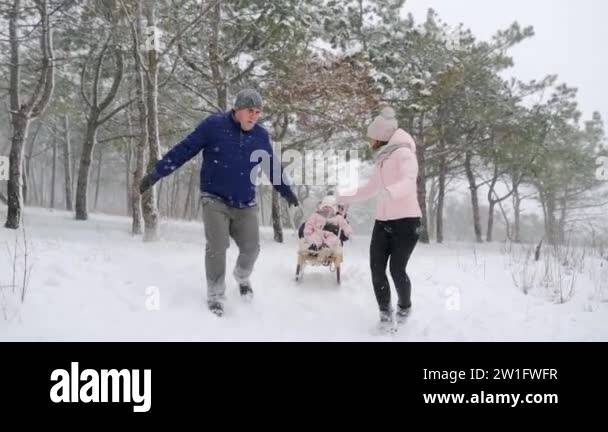 Happy family sledding on snowy winter day. Father and mother pull sled ...