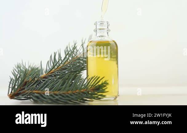 Infusion of christmas trees Stock Videos & Footage - HD and 4K Video ...