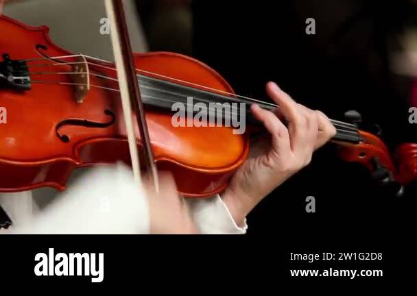 Violin playing viola musician Stock Videos & Footage - HD and 4K Video ...
