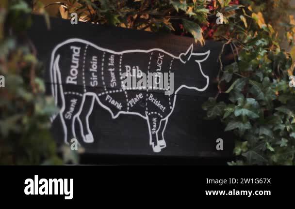 steak meat parts of a bull. restaurant barbecue grill showcase cuisine ...