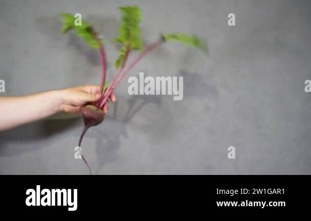 Beetroot in hand on Stock Videos & Footage - HD and 4K Video Clips - Alamy