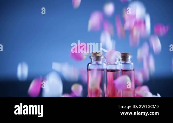 Fresh petals falling on perfume Stock Videos & Footage - HD and 4K ...