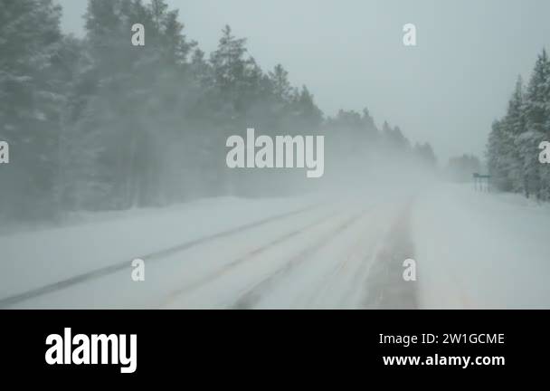 Snowy road with windy blizzard and spruce trees around in Finland in ...