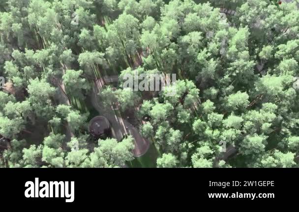 Children playing around tree Stock Videos & Footage - HD and 4K Video ...