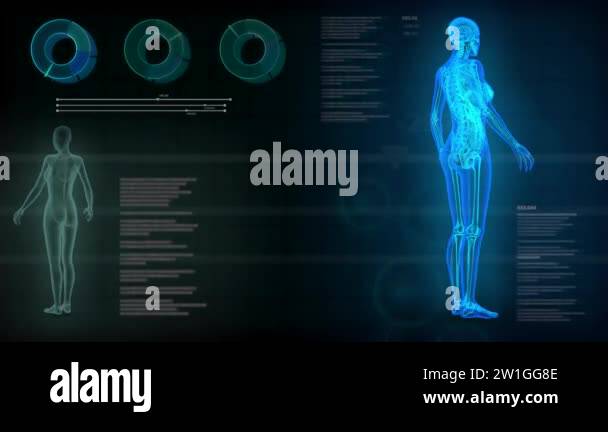 Seamless looping background with x-Ray roentgen female body, organs and skeleton scan for ...