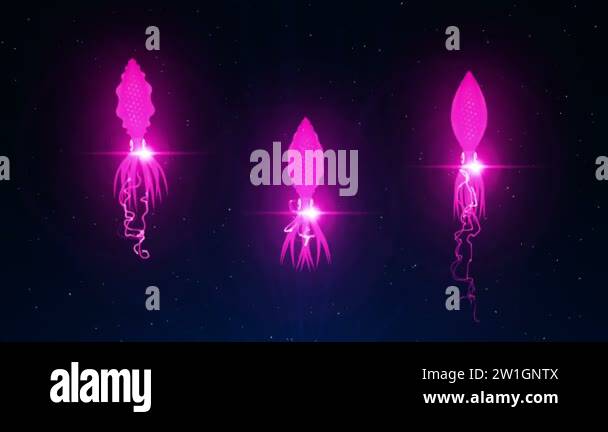 Squid illuminated with color light in the underwater. Fluorescent color ...