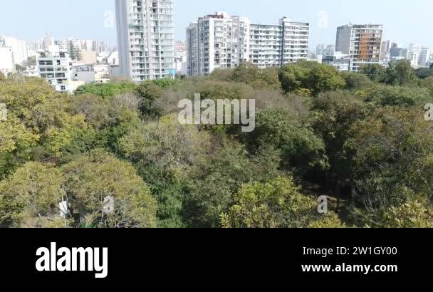Lince peru Stock Videos & Footage - HD and 4K Video Clips - Alamy
