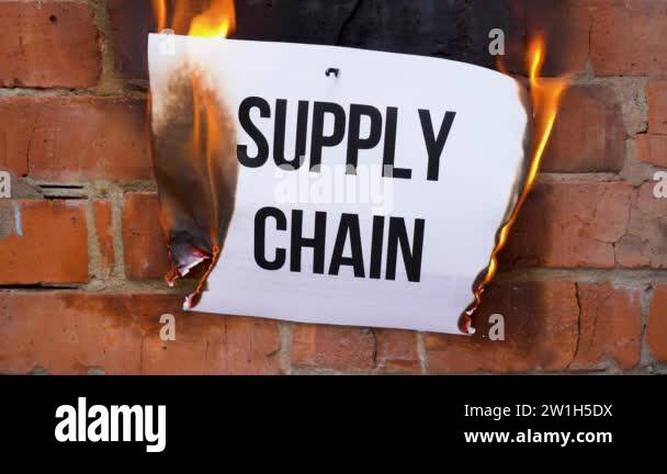 Paper supply chain Stock Videos & Footage - HD and 4K Video Clips - Alamy