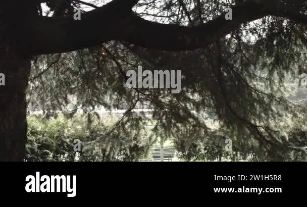 woman running active along city street and park in cold season. Bad ...