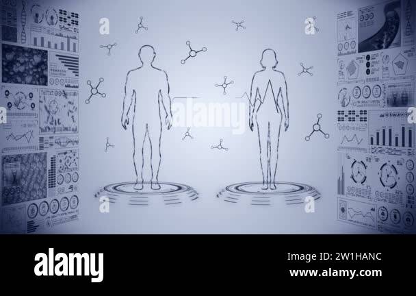 Man and woman virtual body. Human medical hologram animation. Graph ...
