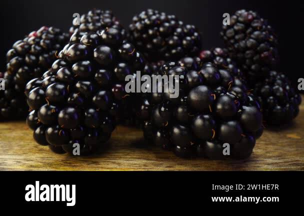 Blaeberry spring Stock Videos & Footage - HD and 4K Video Clips - Alamy