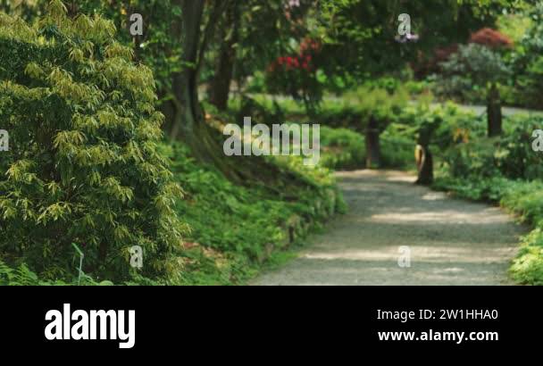 Beautiful walking trail in park. SLOW MOTION. Filmed in 4K DCi ...