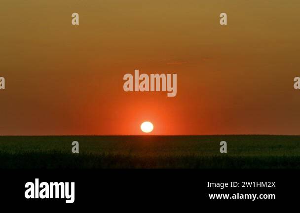 sunrise on wheat field time lapse, dawn in the steppe time lapse ...