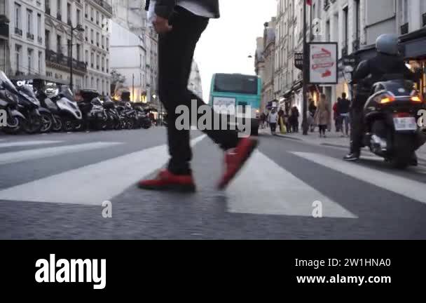 Puffin crossing Stock Videos & Footage - HD and 4K Video Clips - Alamy