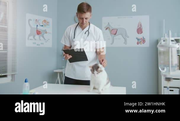 Middle plan of male veterinarian standing in hospital while writting in ...