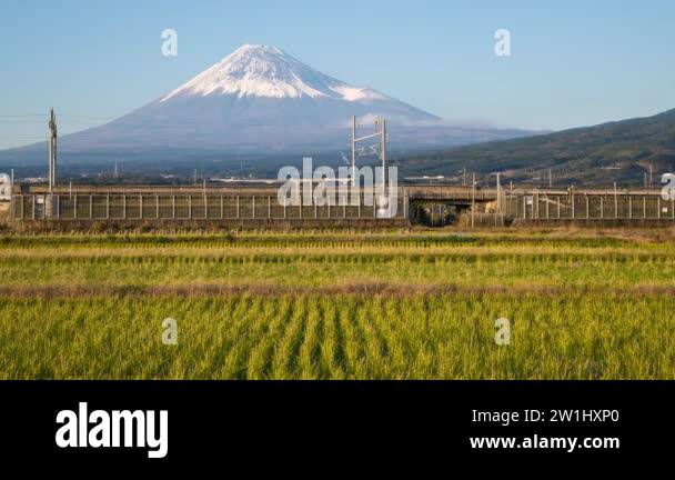 Japan, Honshu, Mount Fuji, Shinkansen Bullet Train passing through harvested rice fields below ...