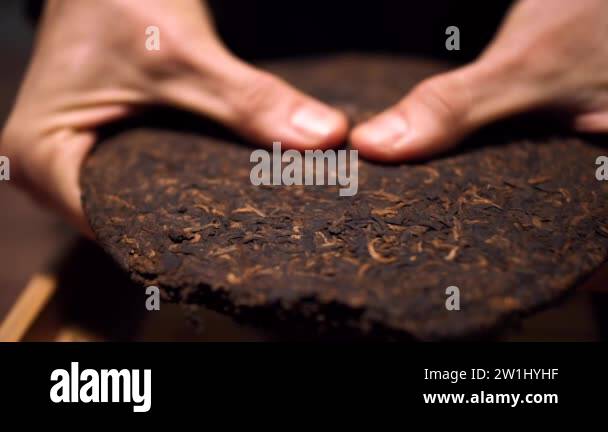 Compressed leaf Stock Videos & Footage - HD and 4K Video Clips - Alamy