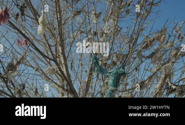 Hanging pack bags Stock Videos & Footage - HD and 4K Video Clips - Alamy