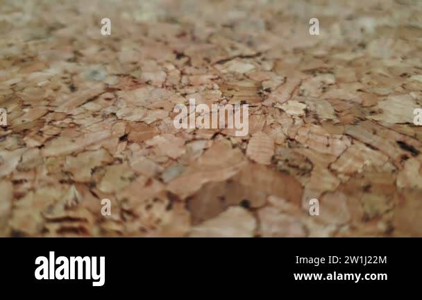 Close up texture cork Stock Videos & Footage - HD and 4K Video Clips ...