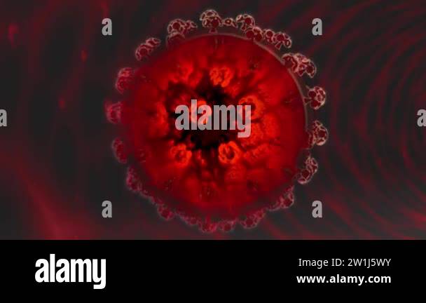 Evil Covid-19 inside the body. Scientific 3D animation of single SARS ...