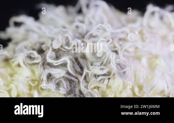 Fake texture Stock Videos & Footage - HD and 4K Video Clips - Alamy