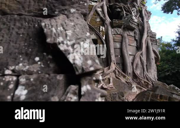Cambodia kapok tree jungle temple ruins Stock Videos & Footage - HD and ...