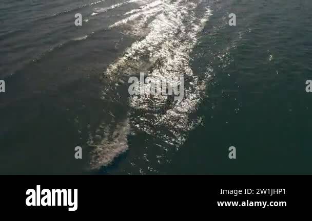 Dnipro water sparkling with a sun path on rippling waves on a bright ...
