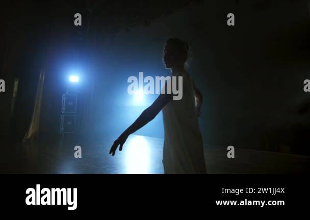 Dynamic scenes from the musical solo performance of a modern ballerina ...