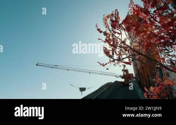 Red leaf transportation Stock Videos & Footage - HD and 4K Video Clips ...