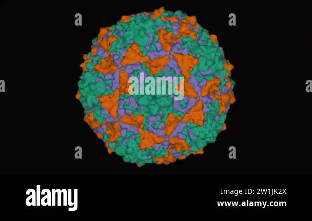 High-resolution crystal structure of Coxsackievirus A24v, animated 3D ...