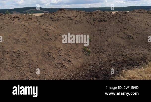 Sewage Sludge that will be used for Spreading in the Agricultural ...