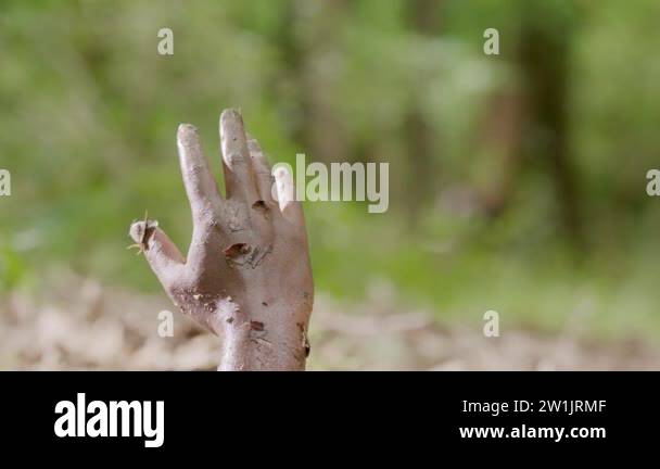 concept quicksand - man hand sticking out from quagmire. Hand of a ...