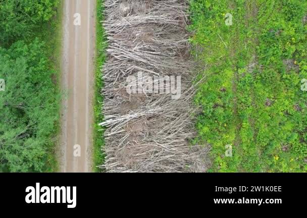 Chipping down Stock Videos & Footage - HD and 4K Video Clips - Alamy